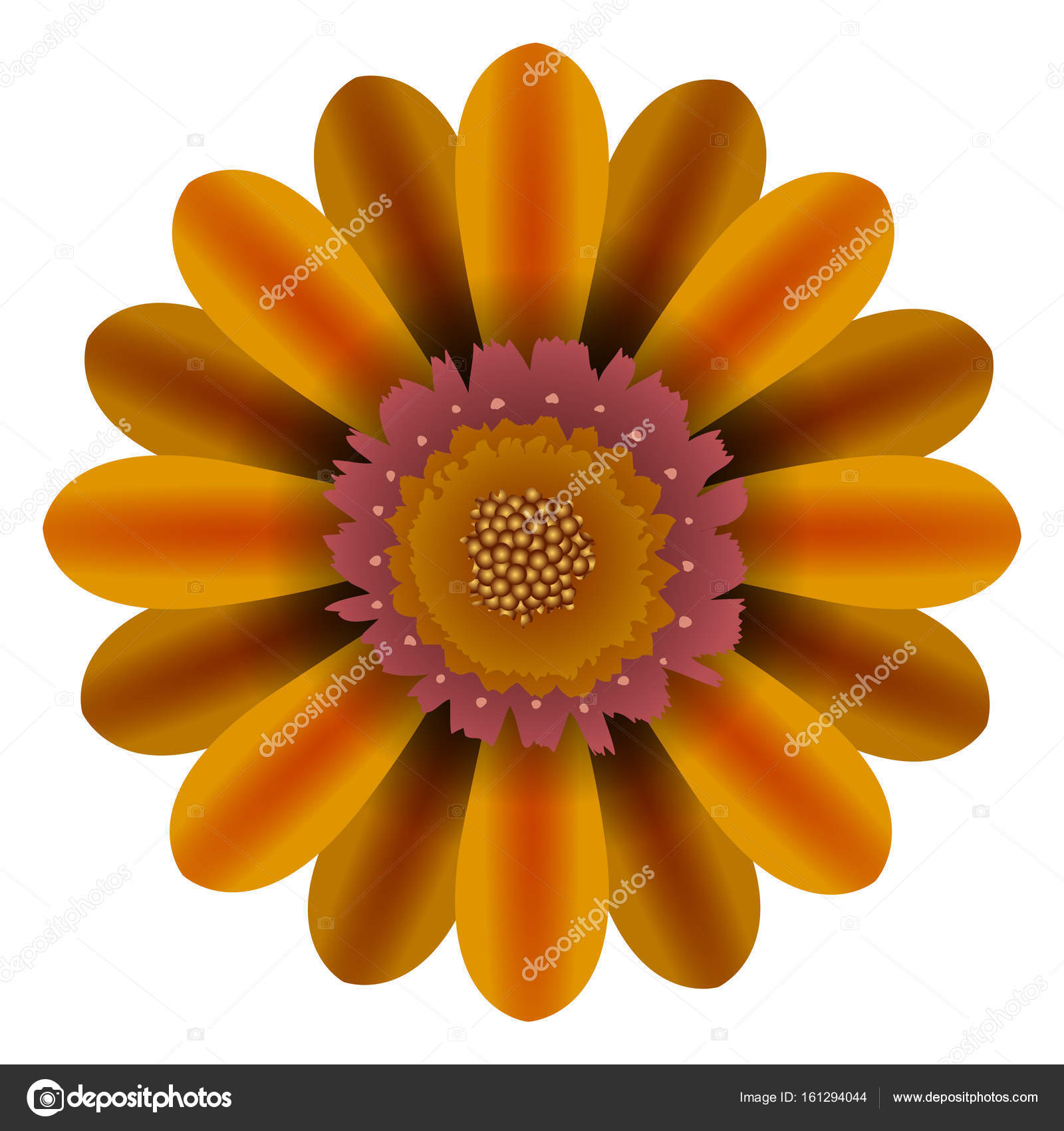 Isolated colored flower ⬇ Vector Image by © LAUDiseno | Vector Stock ...