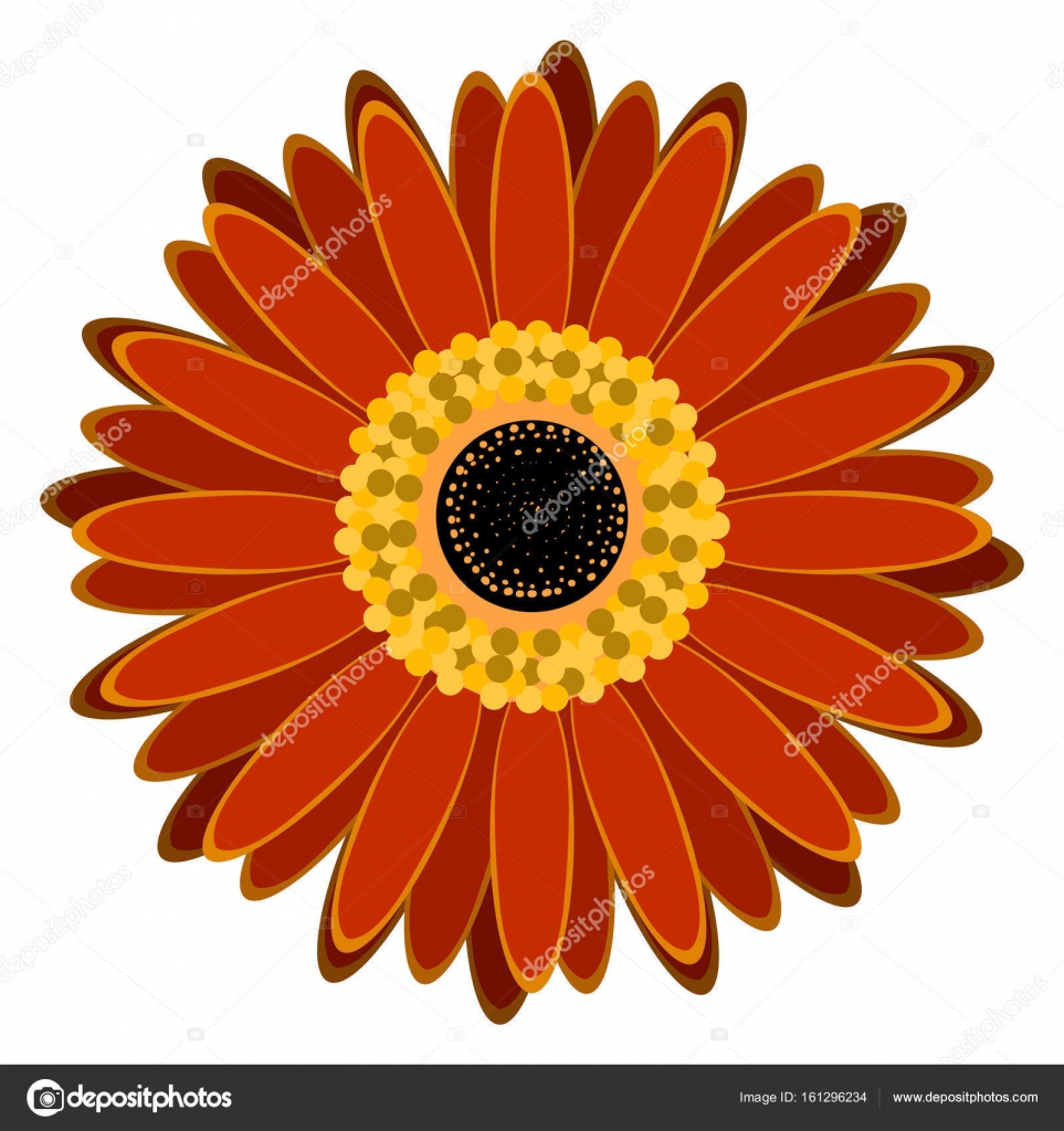 Isolated colored flower Stock Vector Image by ©LAUDiseno #161296234