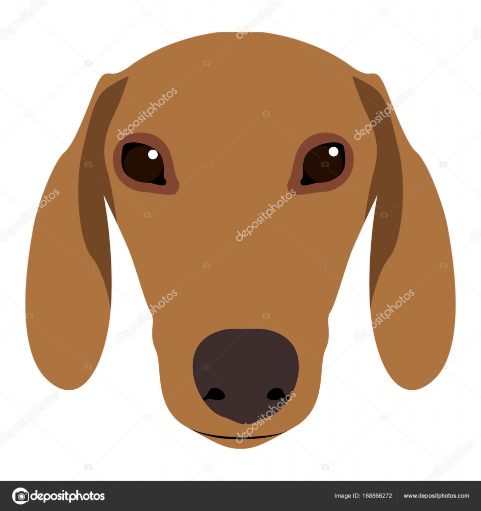 Icono cara de perro Vector de stock #168866272 de ©LAUDiseno