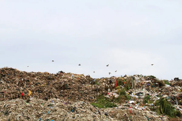 Biodegradable waste Stock Photos, Royalty Free Biodegradable waste ...