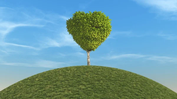 Heart Shaped Tree Wallpaper