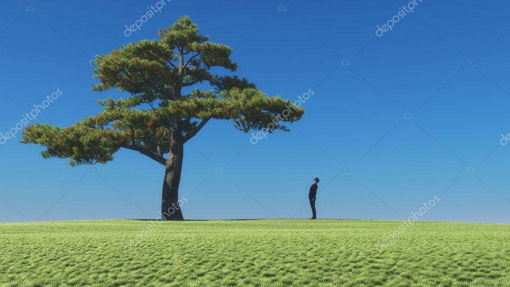 Man looking on tree Stock Photo by ©orlaimagen 125887718