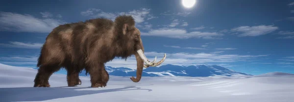 Mammoth ice age Stock Photos, Royalty Free Mammoth ice age Images ...