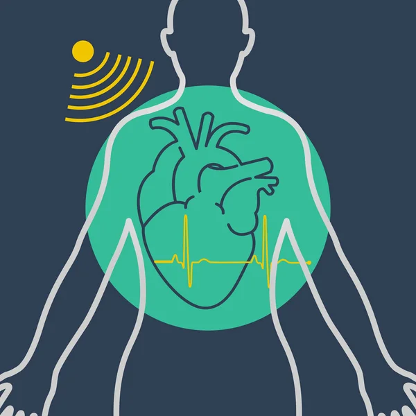 65 Ecocardiograma Vector Images - Free & Royalty-free Ecocardiograma ...