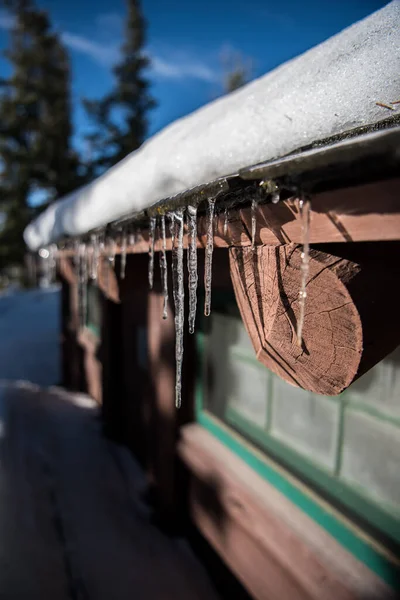 Eva por neves Stock Photos, Royalty Free Eva por neves Images ...