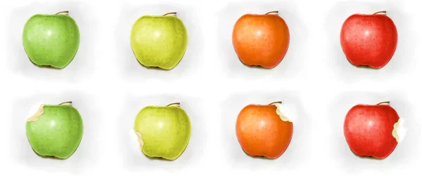 Apple growth stages Stock Photos, Royalty Free Apple growth stages ...