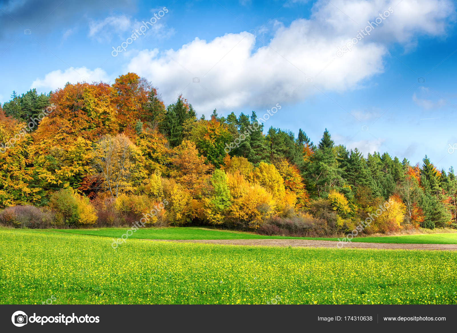 Beautiful colorful forest and field in the fall Stock Photo by ...