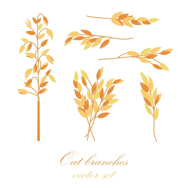 Oats Vector Art Stock Images | Depositphotos