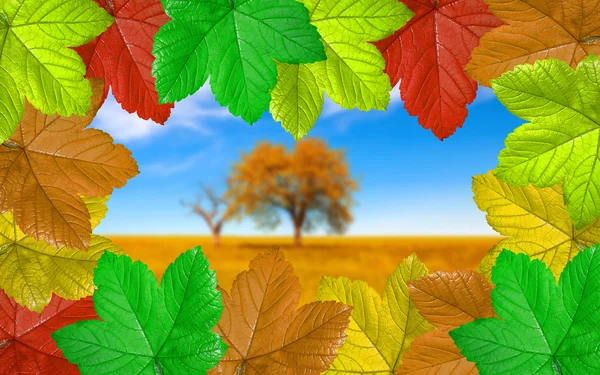 Happy fall background Stock Photos, Royalty Free Happy fall background ...