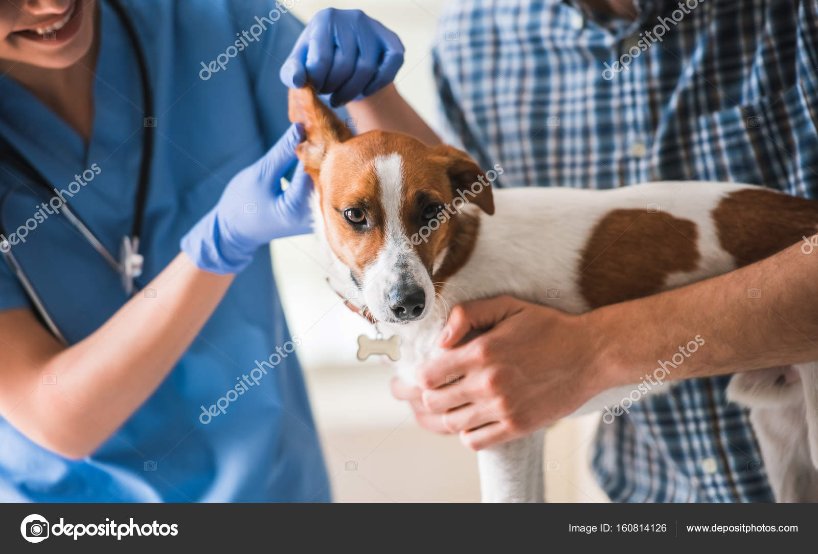 At the veterinarian ⬇ Stock Photo, Image by © vadimphoto1@gmail.com ...