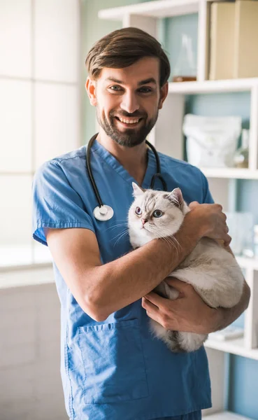 Vet Stock Photos, Royalty Free Vet Images | Depositphotos