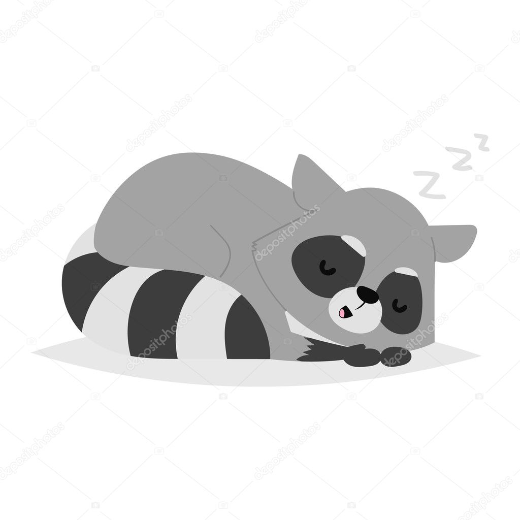 Funny raccoon vector illustration. Stock Vector Image by ©adekvat ...