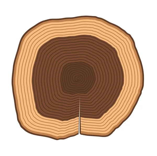 Tree slice Stock Vectors, Royalty Free Tree slice Illustrations ...