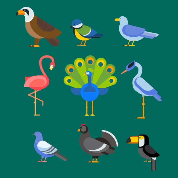 Vector set of birds in linear style. Pigeon, sparrow, eagle, parrot ...
