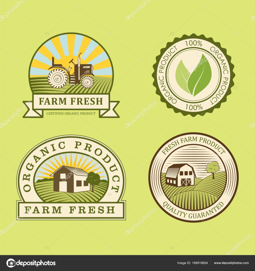 Bio farm organic eco healthy food templates and vintage vegan green ...