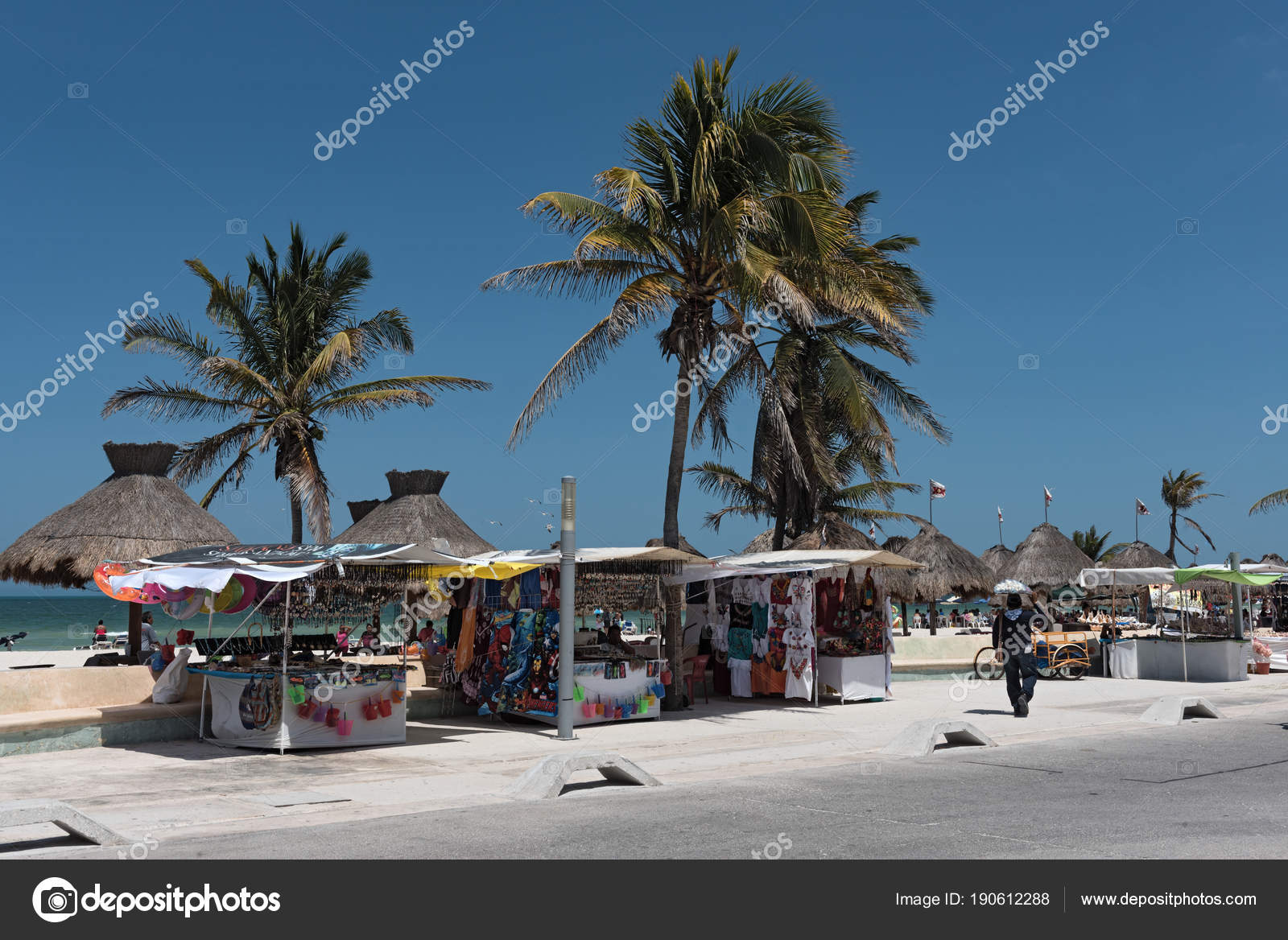 New Progresso Mexico