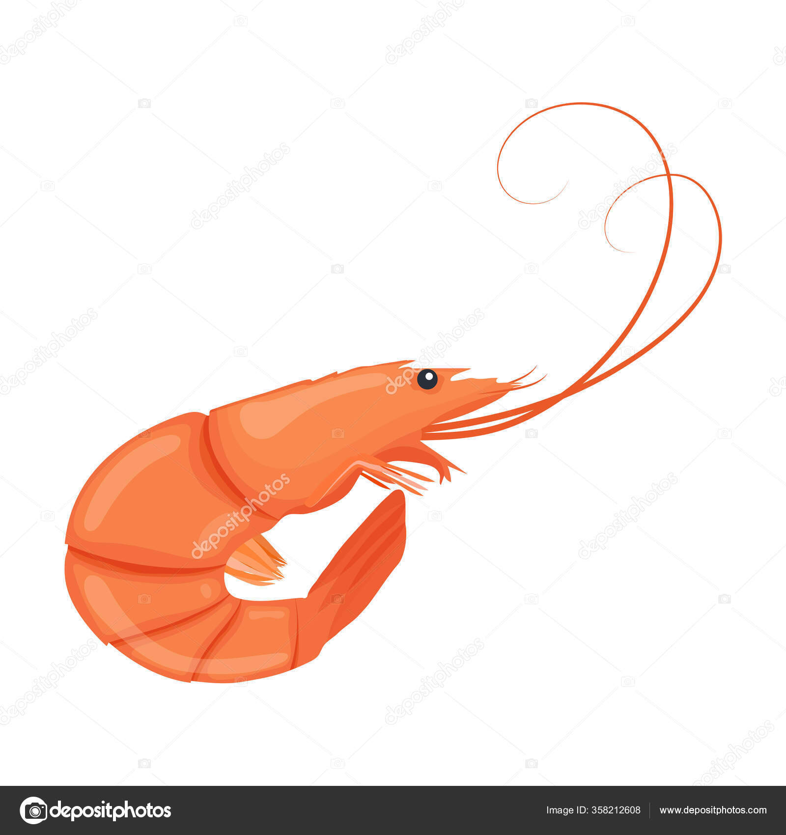Cooked Shrimp Cartoon