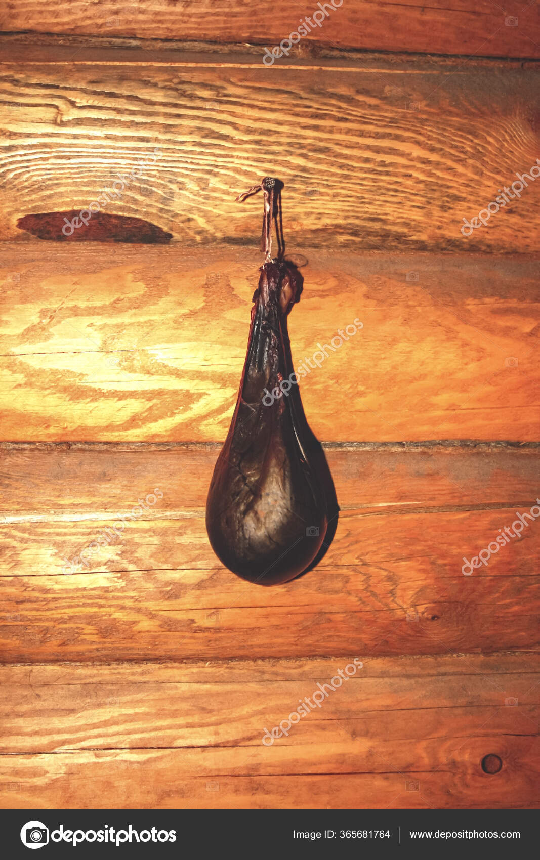 Gall Bladder Bear While Drying Log Wall Bile Bear Gallbladder — Stock ...