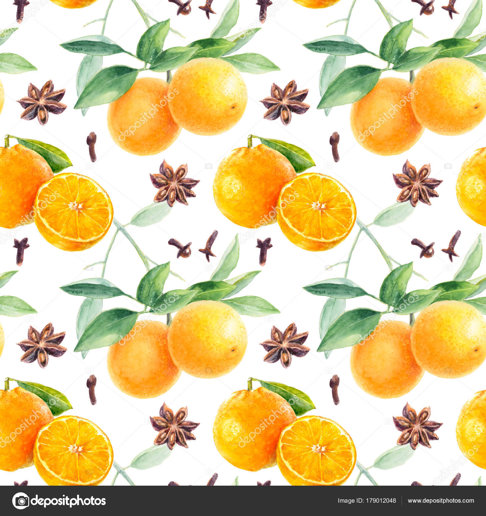 Orange Seamless Pattern Orange Fruit Branches Anise Cloves Hand Draw ...