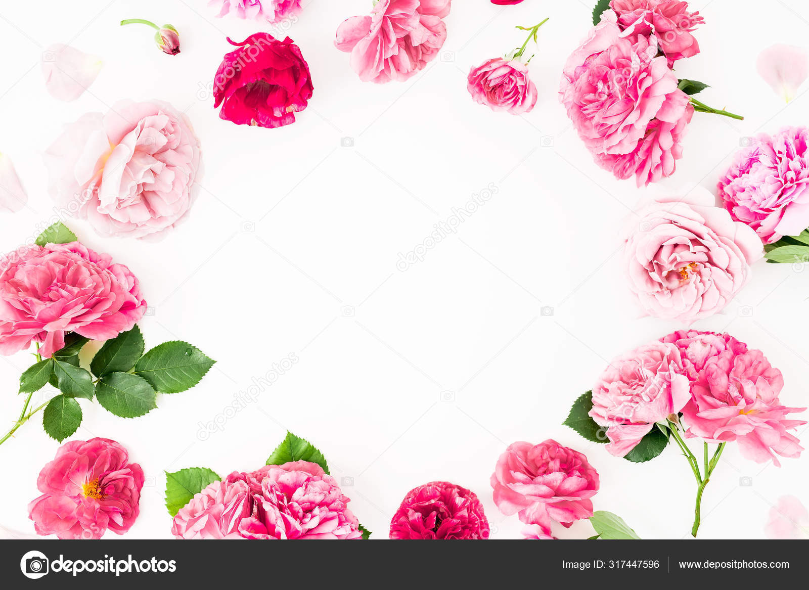 Floral frame with pink roses and leaves on white background. Fla Stock ...