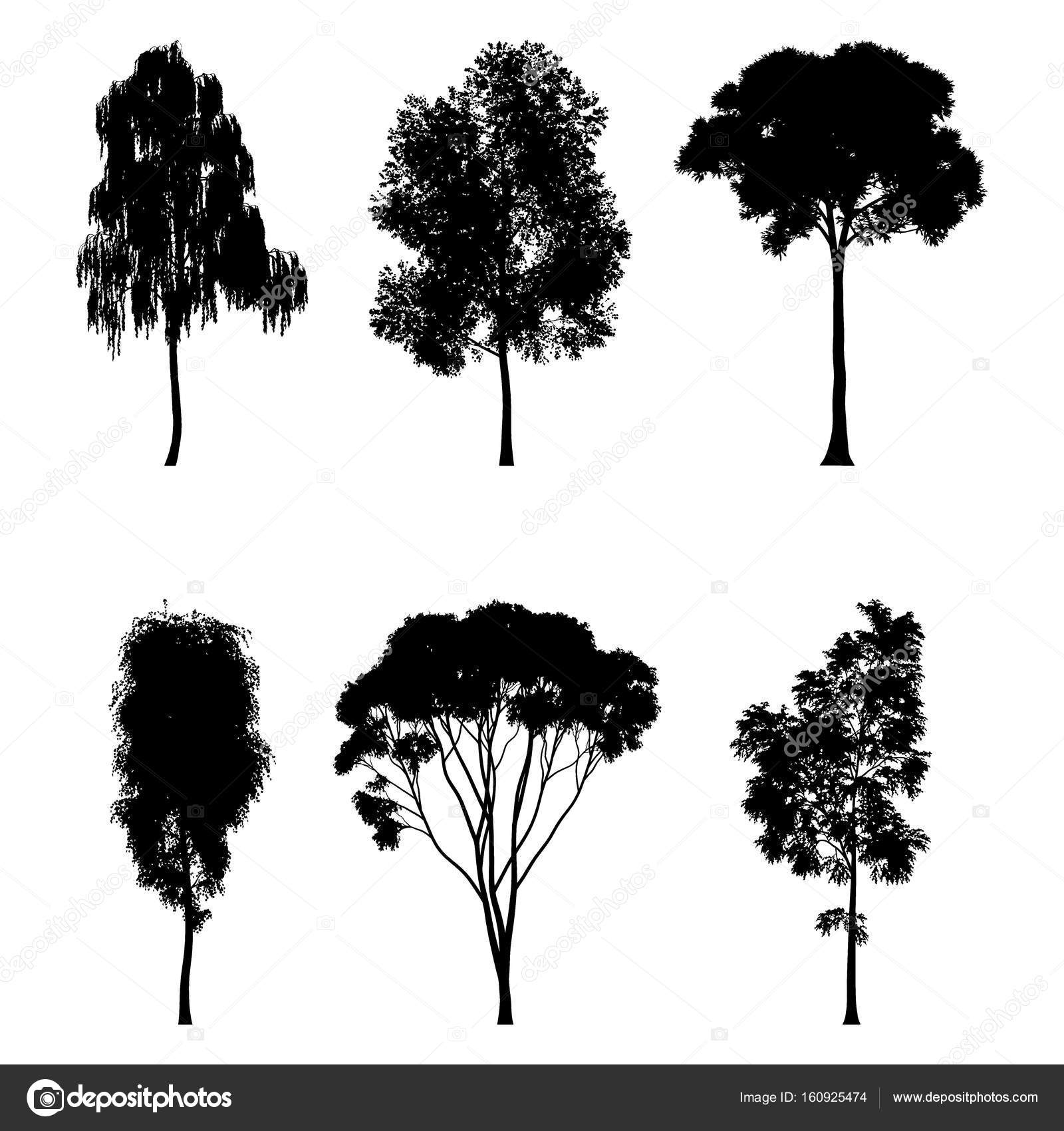 树的轮廓矢量图 图库矢量图©Richman21 160925474