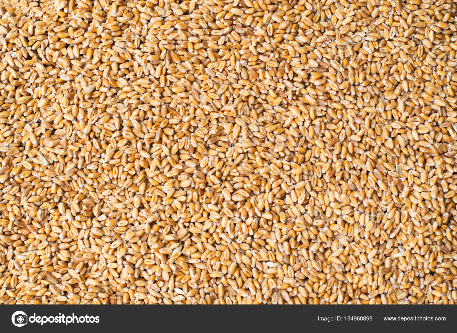 Repeating seamless grain texture background — Stock Photo © Richman21 ...