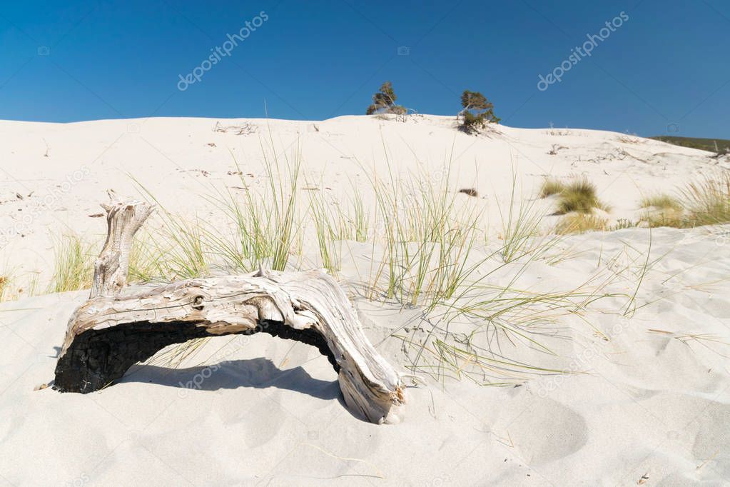 La playa de Le Dune, Porto Pino, Cerdeña, Italia. 2024