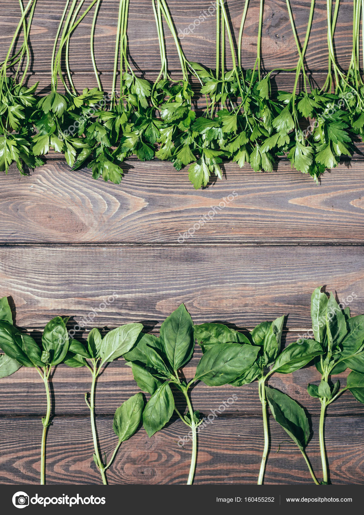 Background for the menu. Parsley and basil on the background of dark ...
