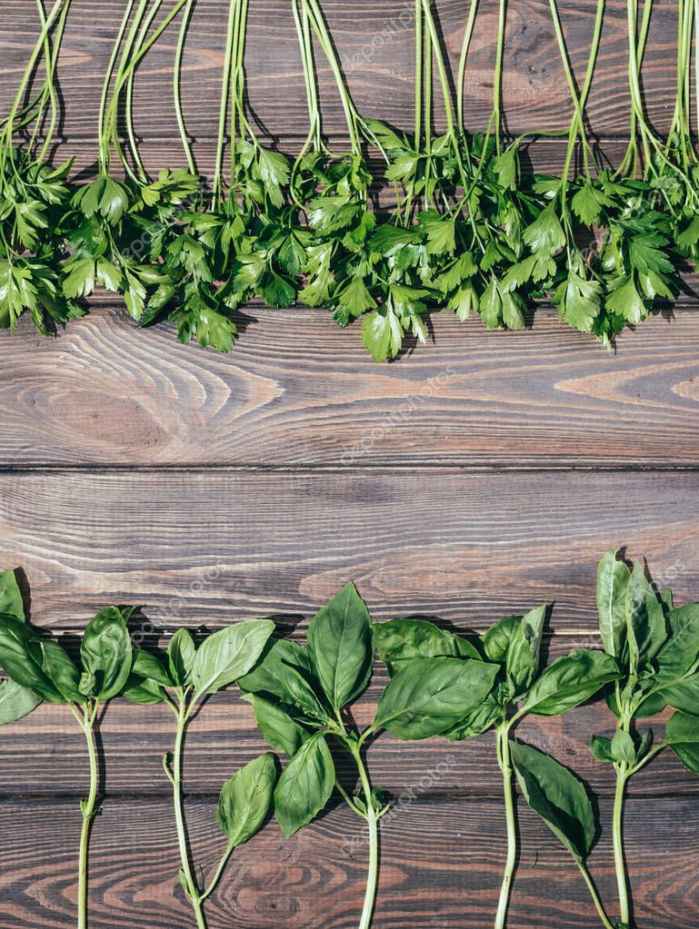 Background for the menu. Parsley and basil on the background of dark ...