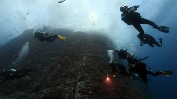 Drop off reef Stock Videos, Royalty Free Drop off reef Footage ...