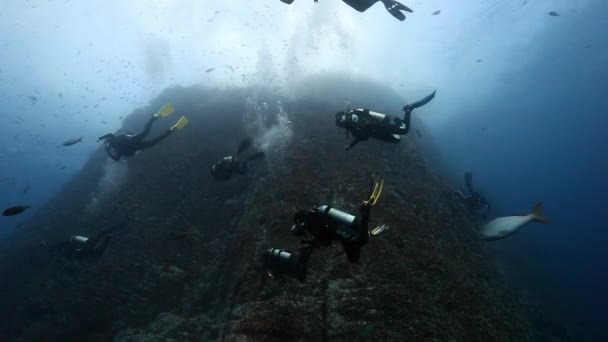Underwater Mountains In The Pacific Ocean
