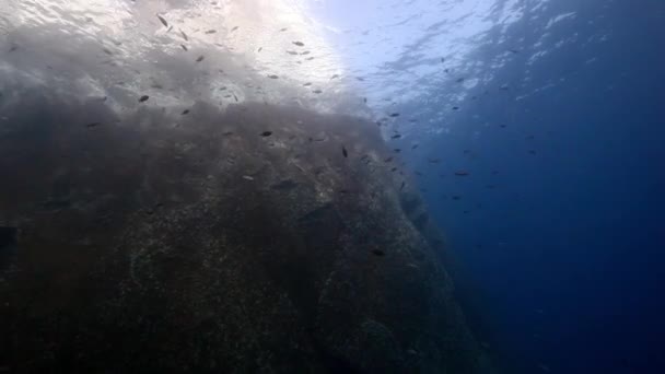 Drop off reef Stock Videos, Royalty Free Drop off reef Footage ...