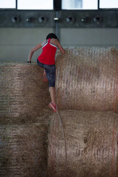 Indoor Hay Bale Obstacle Running Contest: People Climb Bale with Rope ...