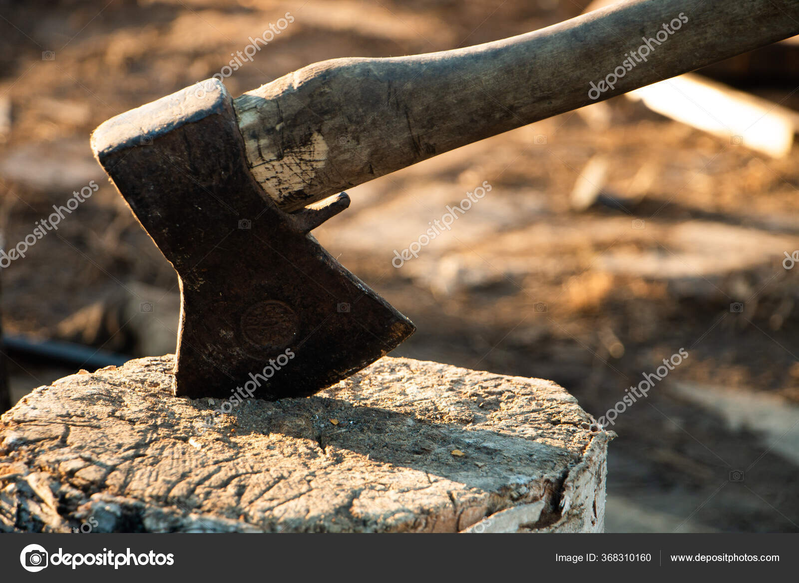 Axe Wooden Tree Logs Ready Chopping — Stock Photo © PPicasso #368310160