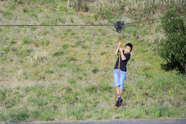 Flying fox game Stock Photos, Royalty Free Flying fox game Images | Depositphotos