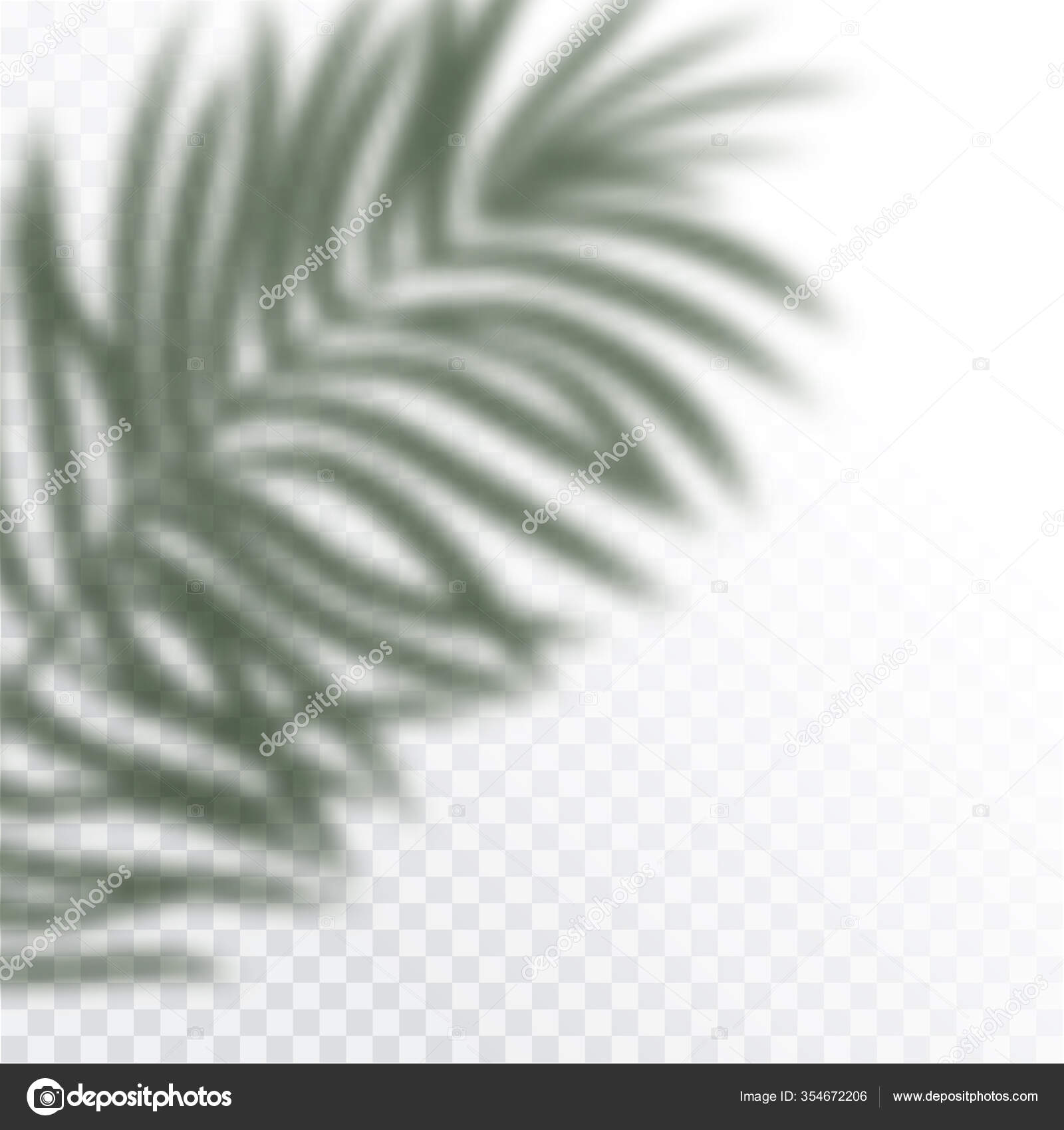 Transparent shadows of tropic Leaves. The shadow overlay effect ... Transparent shadows of tropic Leaves. The shadow overlay effect ...