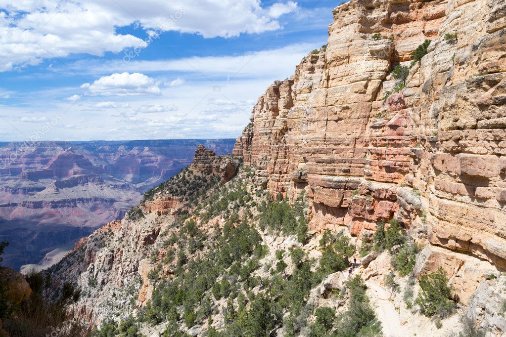 Mapa Da Floresta Nacional De Kaibab MapBiomas Amazonia