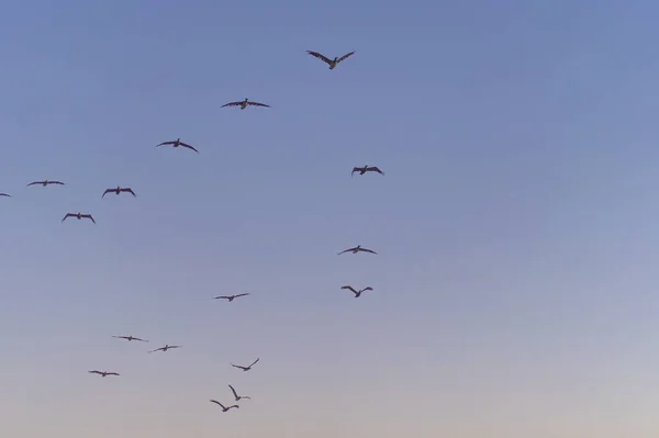 Narrative aloft Stock Photos, Royalty Free Narrative aloft Images ...