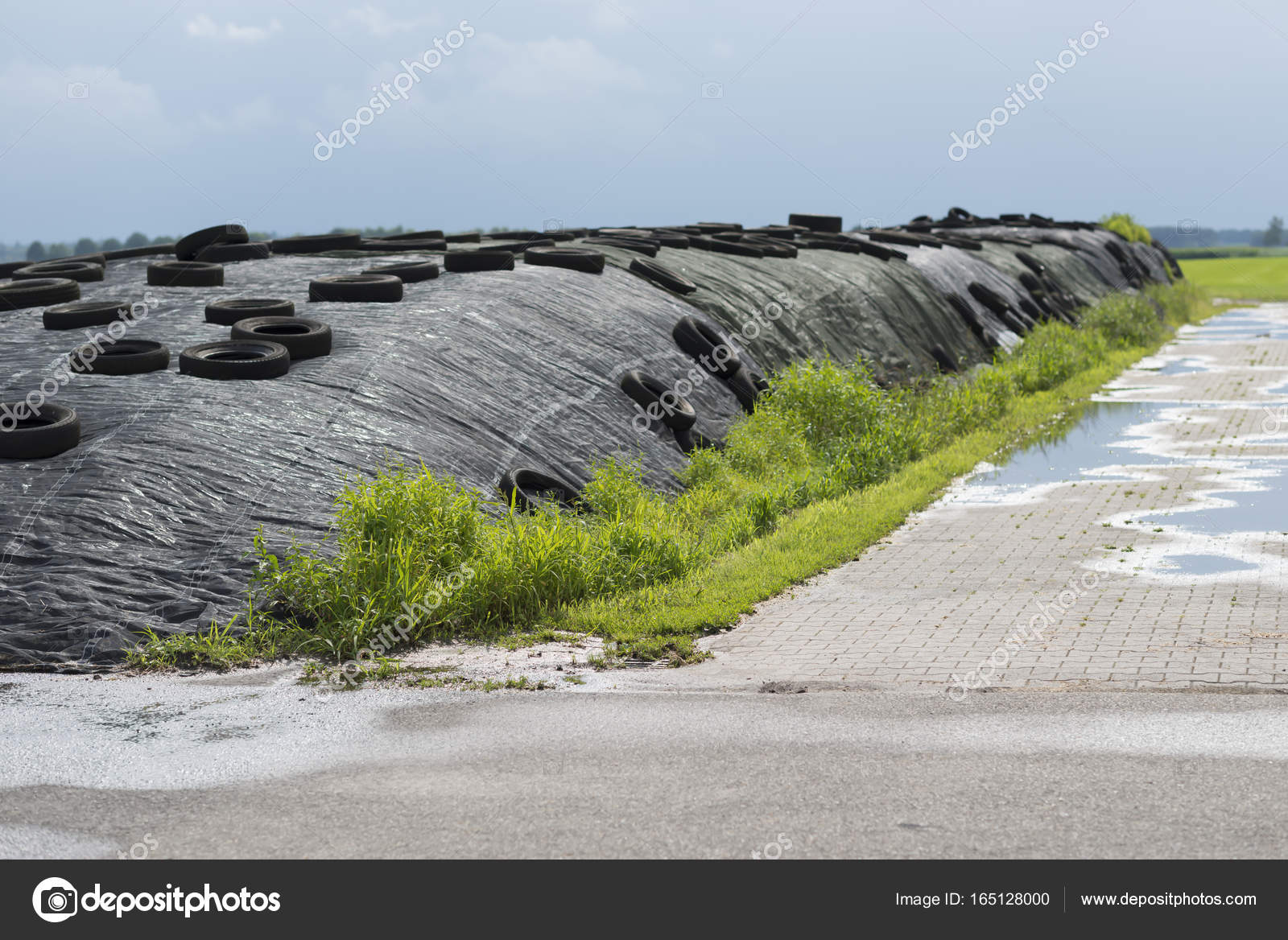 Ensilage on a dairy farm — Stock Photo © tofotografie #165128000