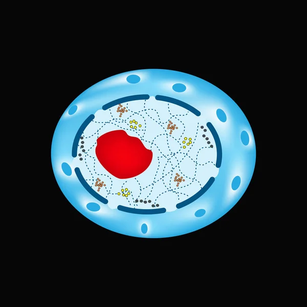 100,000 Single cell Vector Images | Depositphotos