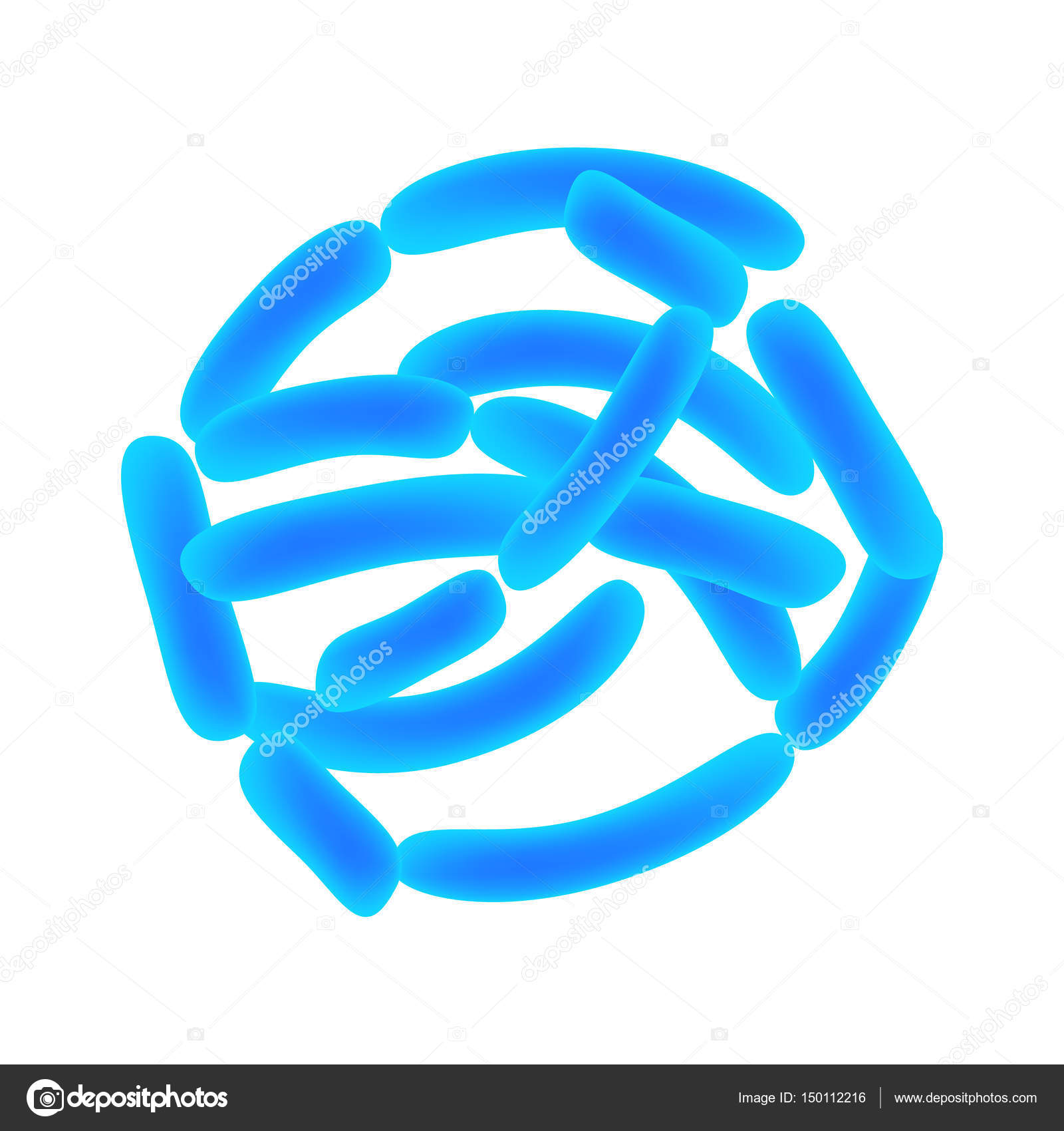 Lactobacillus. Infographics. Vector illustration on isolated background ...