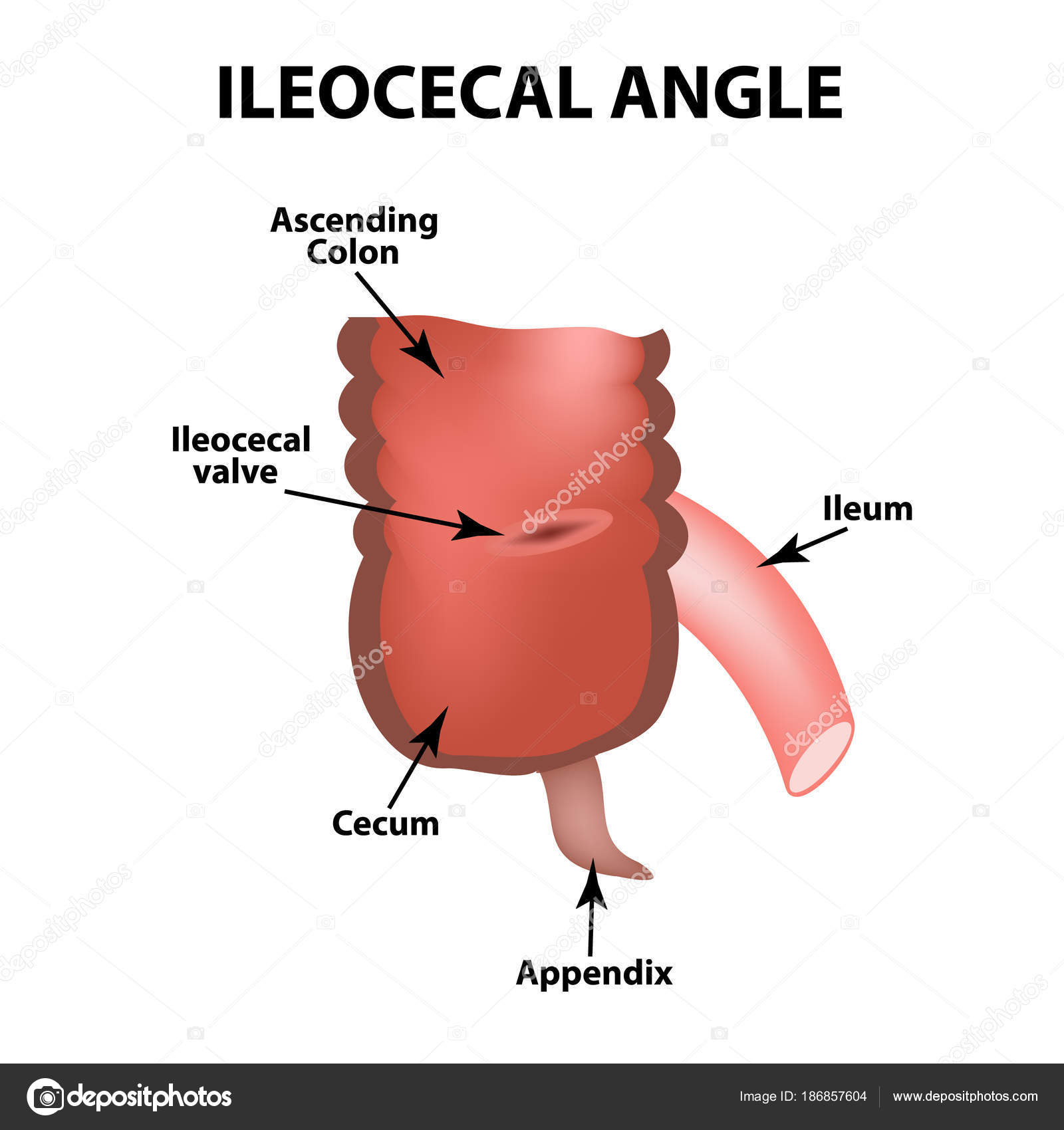 Ileon Y Ciego - Marcus Reid