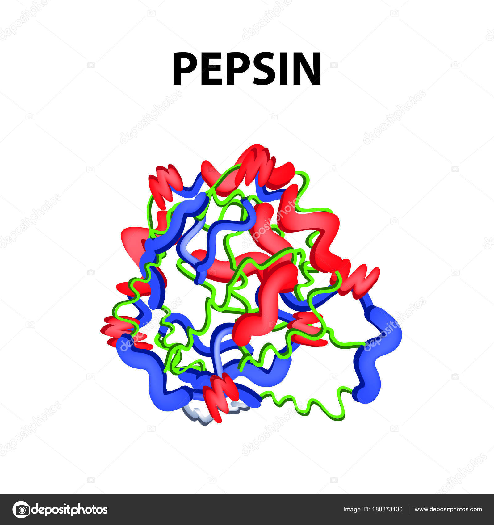 Pepsin is a molecular chemical formula. Enzyme of the stomach ...