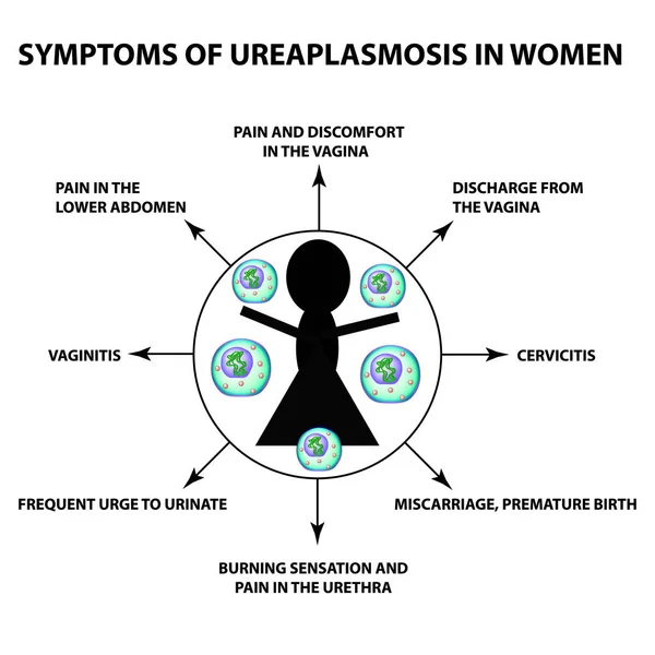 Types of bacteria. Basic morphological differences between bacte ...