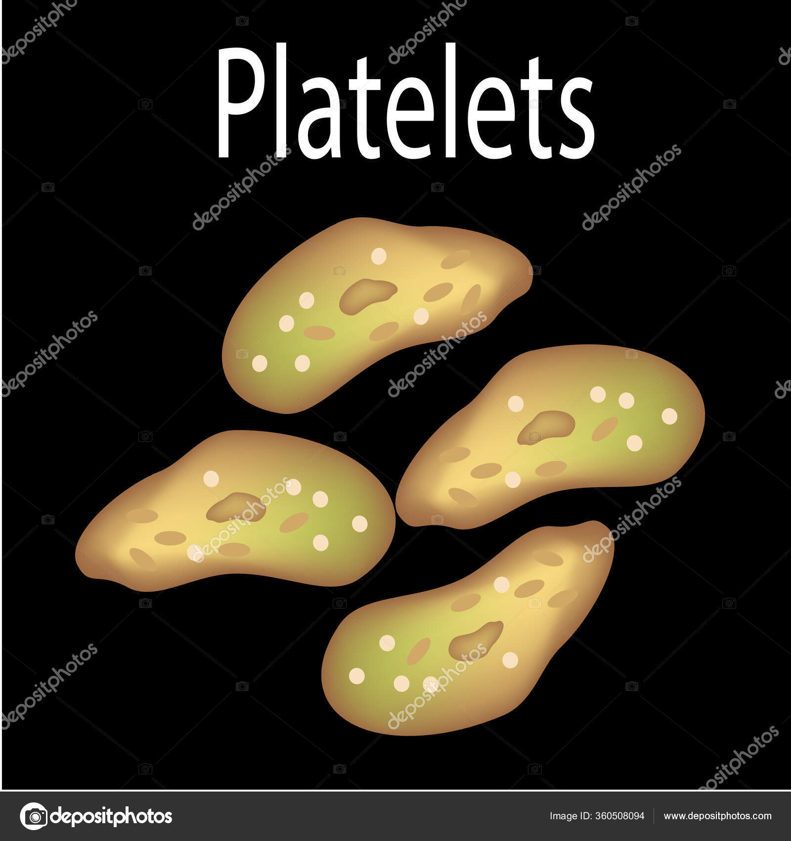 Platelets Clipart