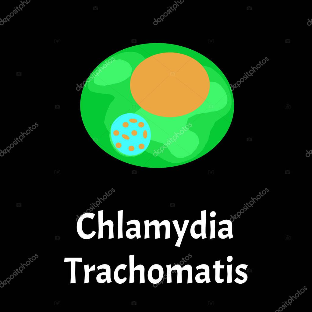 Chlamydia trachomatis. Infecciones bacterianas Clamidiosis ...