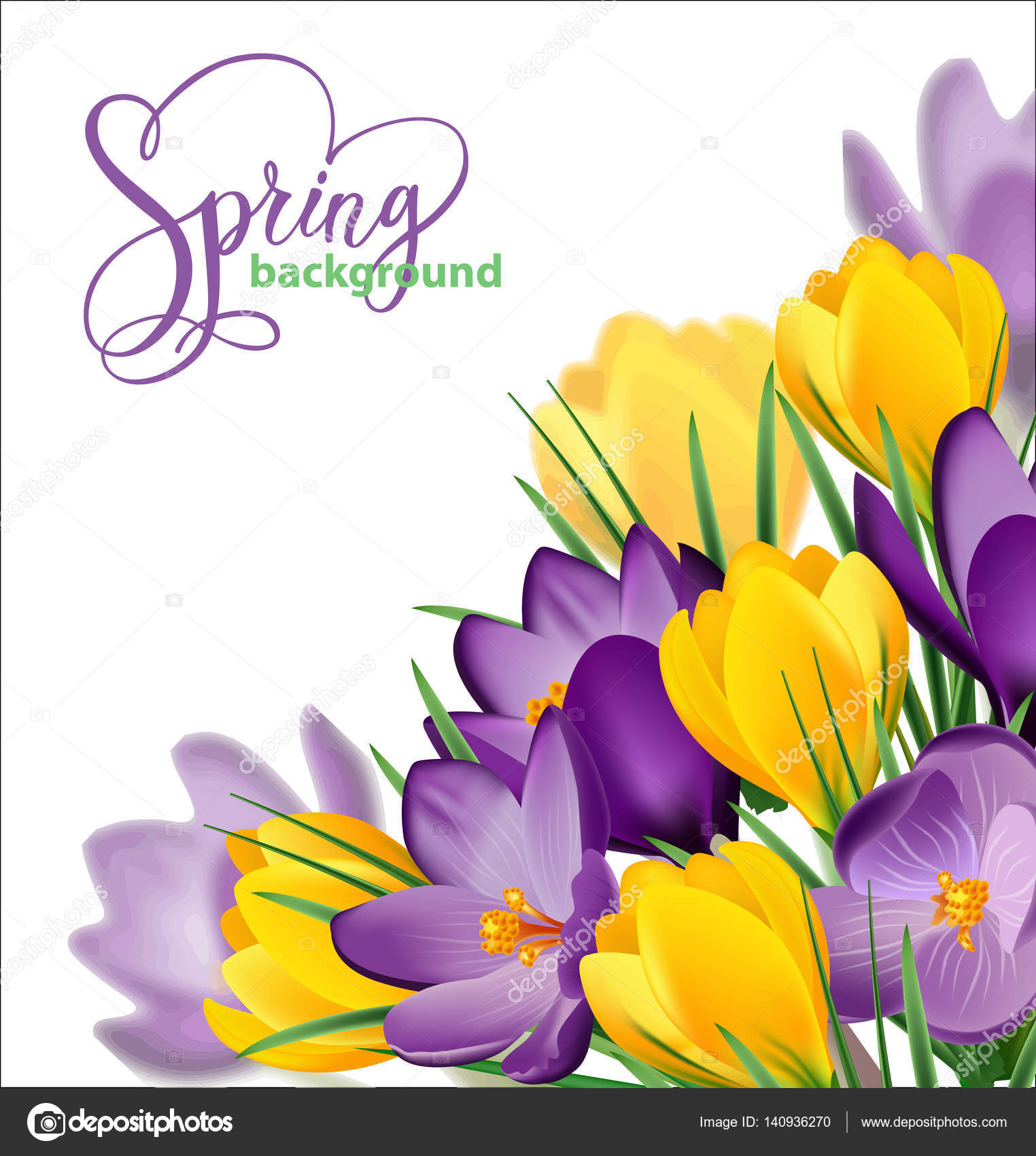 Spring background with blooming spring flowers, crocuses. Vector ...