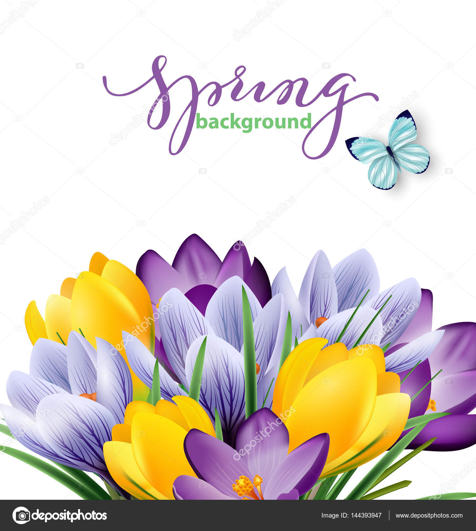 Spring background with blooming spring flowers, crocuses. Vector Stock ...
