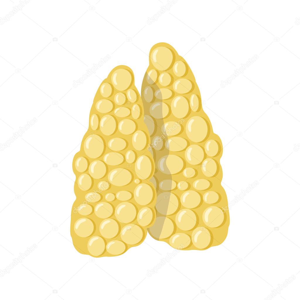 Thymus Gland Illustration Design — Stock Vector © Funwayillustration
