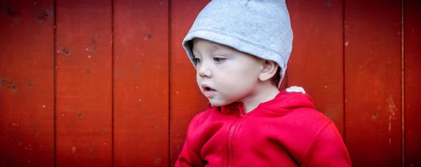 Garçon aux cheveux roux images libres de droit, photos de Garçon aux ...